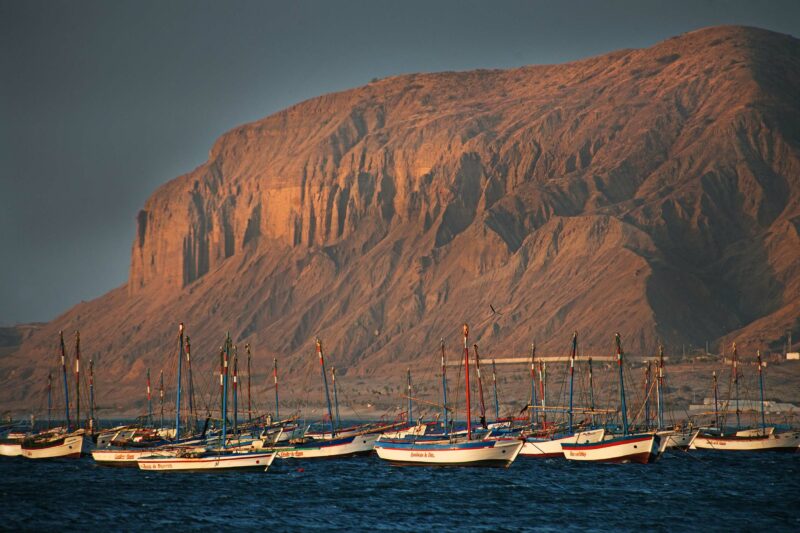 Perico – Mar del Perú