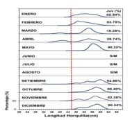 Bonito – Mar del Perú