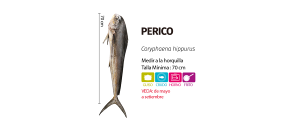 Perico – Mar del Perú